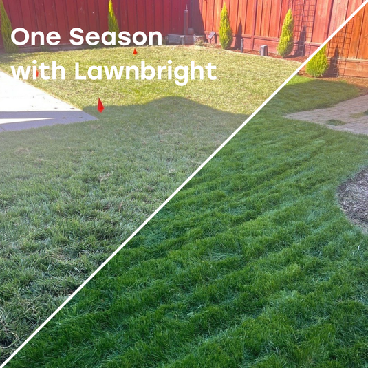 Lawnbright Natural Lawn Care Plans