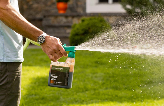 Lawnbright - DIY Natural Lawn Care Fertilizer Subscription Delivery